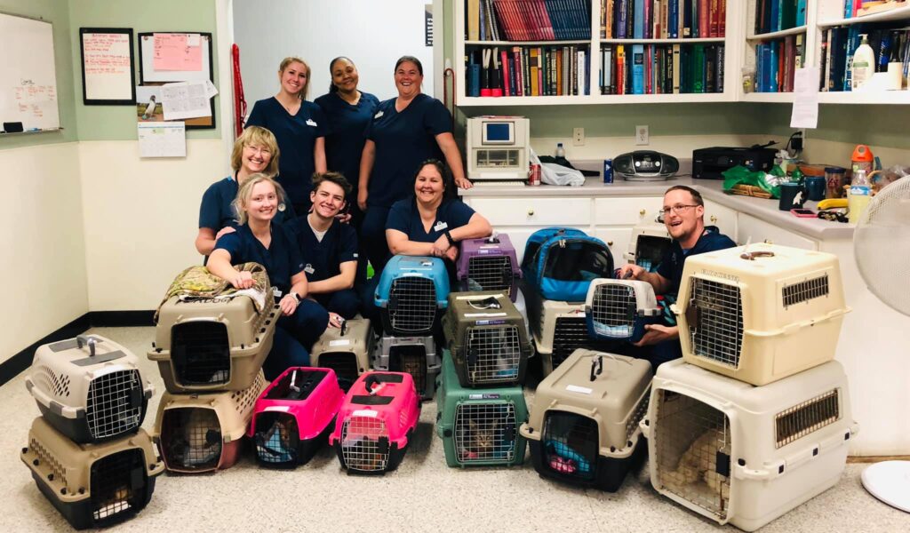 Employment Application Form | Gadd's Animal Doctors Of Gray
